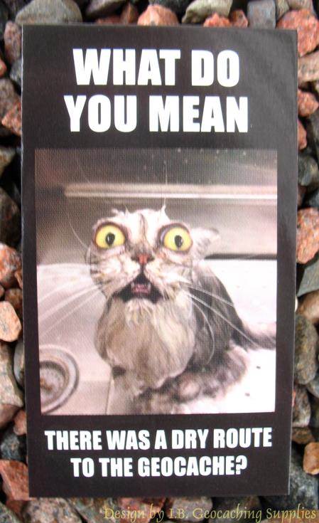 Cards - Meme - There was a Dry Route?