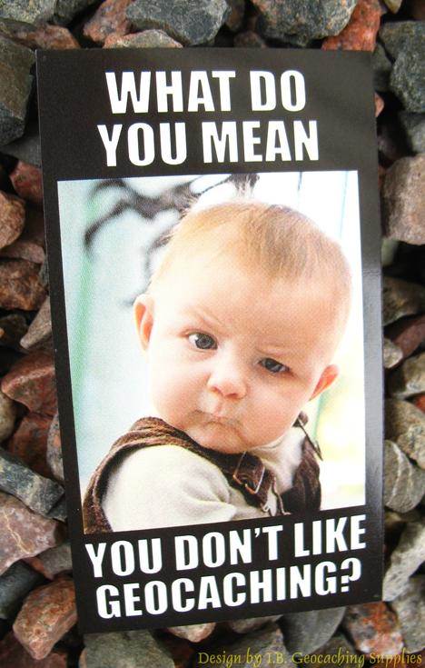 Flat Magnets - Meme Magnet - You Don't Like Geocaching?